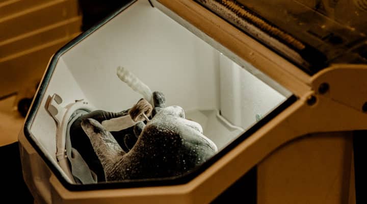 Dental Lab for Night Guards & Splints | Dandy