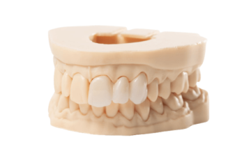 Dental Impressions Types and Materials | Dandy