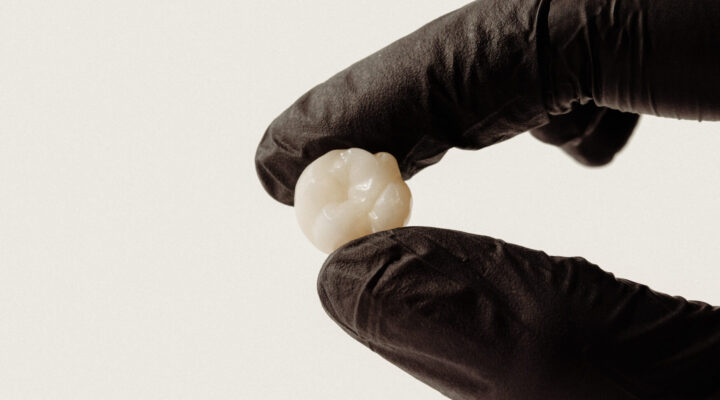 Full Service Digital Dental Lab & Products | Dandy