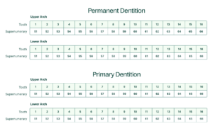 Charting Supernumerary Teeth [Chart Included] - Dandy