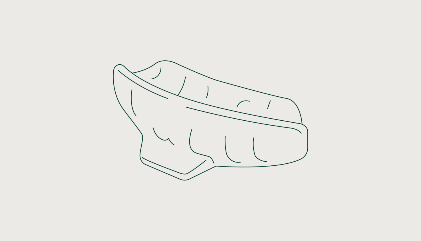 The ultimate guide to NTI appliances [For dentists] | Dandy