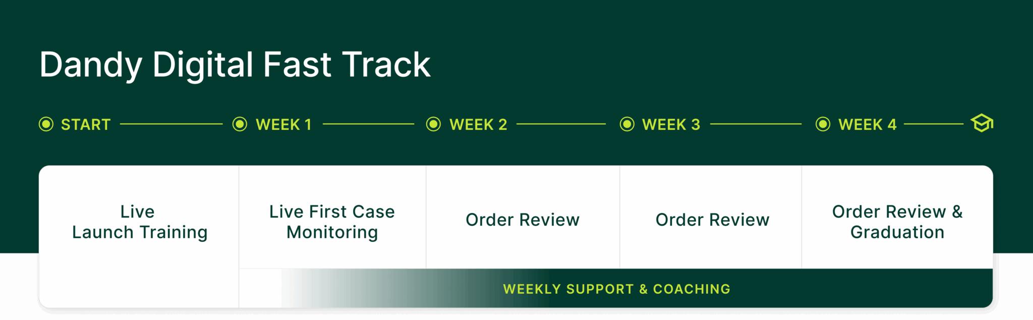 Welcome to Dandy! Here's how to get started.